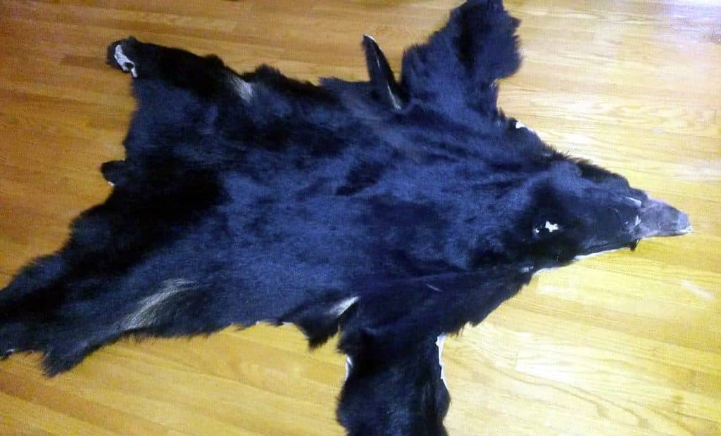 bear-pelt-full – Bears Den Native Crafts